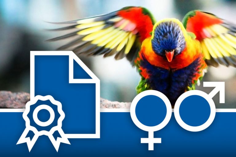 Bird Genetics – DNA laboratorium